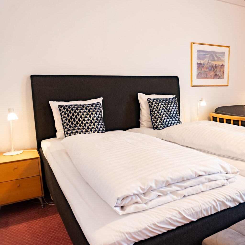 Hotel i Viborg centrum - Suiter med spa og sauna | Hotel Palads